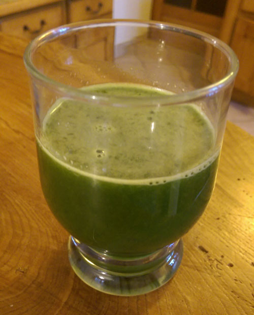 Extracteurs de jus Jazz (Max et Alto) - Extracteur horizontal polyvalent